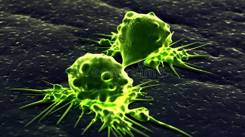 Cancer Cell Growth 3D Render Animation. Stock Video - Video of cytology ...
