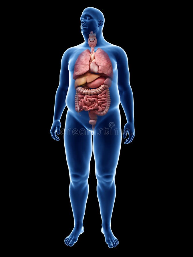 An obese guys organs stock illustration. Illustration of black - 100247199