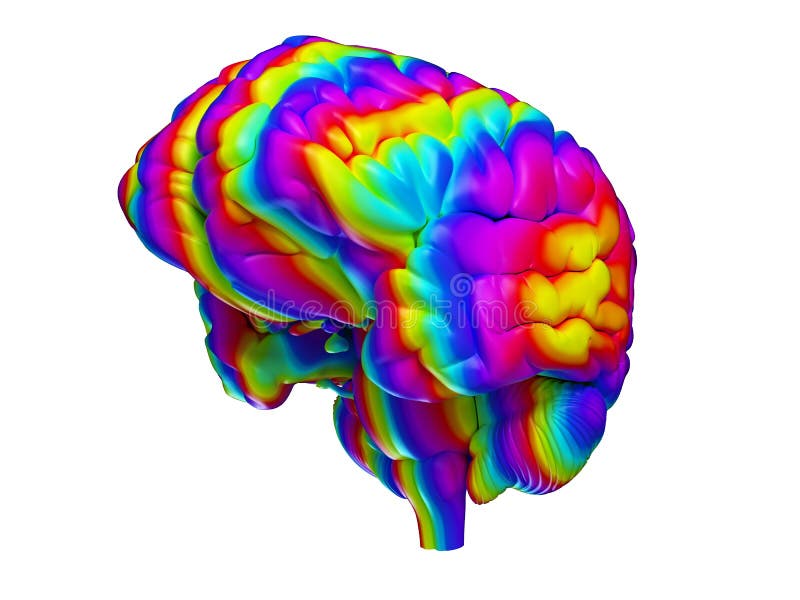 A rainbow brain stock illustration. Illustration of graphic - 100247571