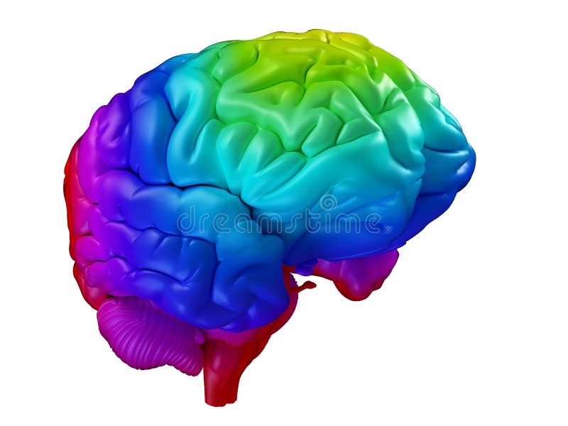 A rainbow brain stock illustration. Illustration of graphic - 100247571