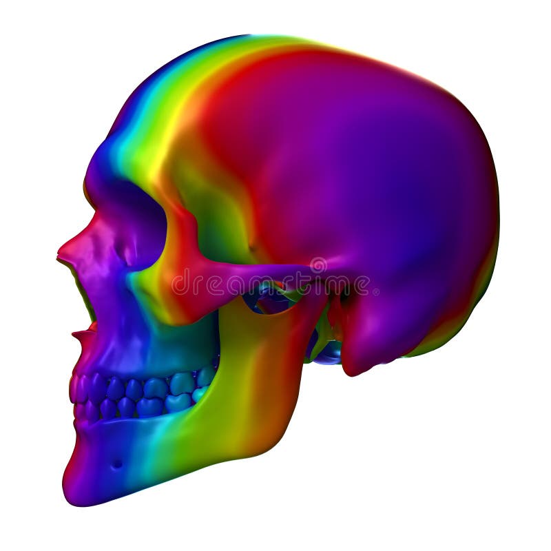 A rainbow skull stock illustration. Illustration of human - 100247395