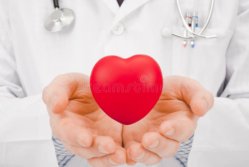 El Cardiólogo Del Médico Muestra Un Corazón Humano Foto de archivo ...