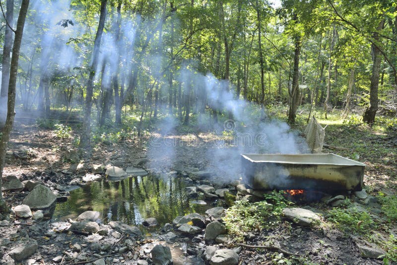 Medicinal bath in forest 1 stock photo. Image of taiga - 109648414