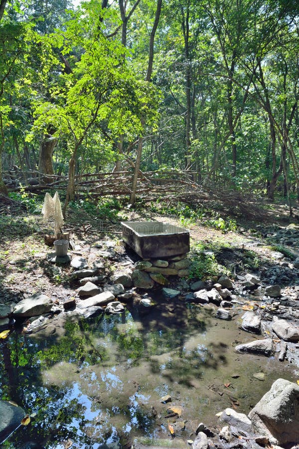 Medicinal bath in forest 7 stock photo. Image of outdoors - 115216480