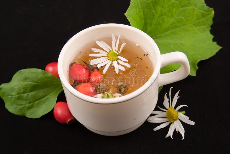 Medicinal decoction stock image. Image of leaf, nature - 7177033