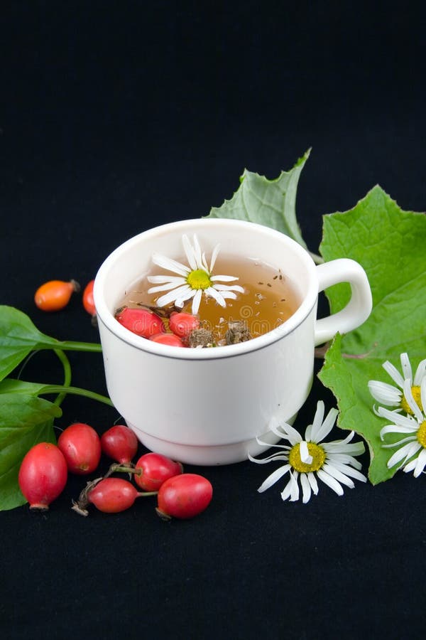 Medicinal decoction stock image. Image of green, cure - 7177145