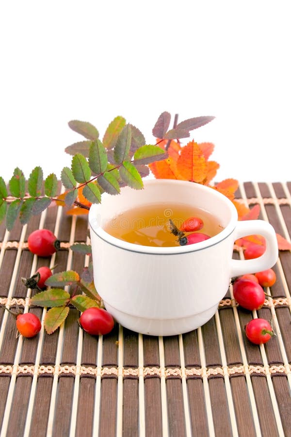 Medicinal decoction stock image. Image of leaf, nature - 7177033