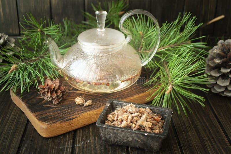 Medicinal Decoction with Pine Buds in Glass Teapot Stock Photo - Image ...