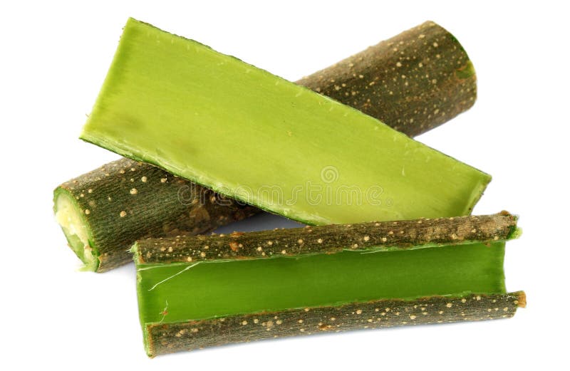 Tree Bark Moringa Oleifera Stock Photos - Free & Royalty-Free Stock ...