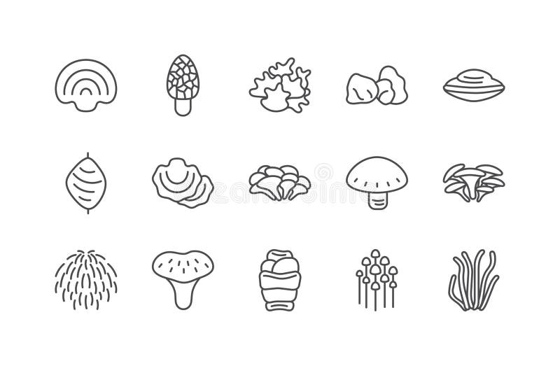 Medicinal Mushroom Line Icon Set Stock Vector - Illustration of ... Medicinal Mushroom Line Icon Set Stock Vector - Illustration of ...