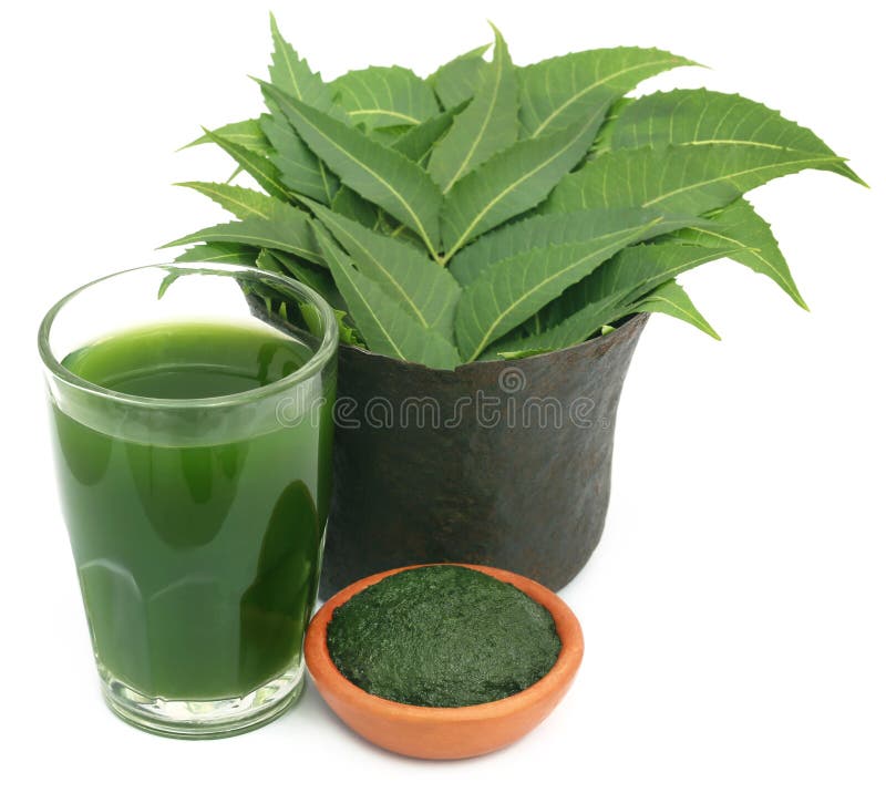 Medicinal Neem Leaves with Extract and Ground Paste Stock Photo - Image ...