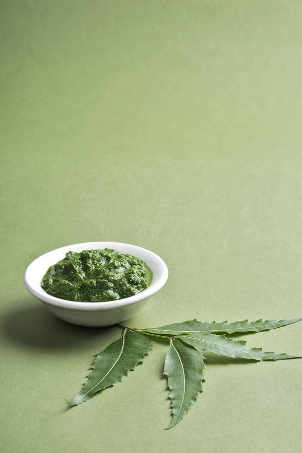 Medicinal Neem Leaves with Paste Stock Image - Image of disease ...