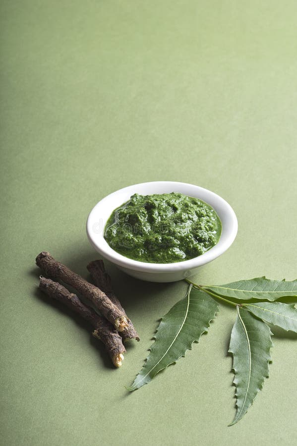Medicinal Neem Leaves with Paste in Bowl and Twigs Stock Image - Image ...