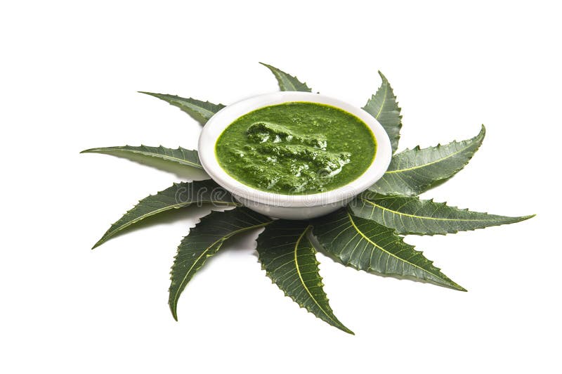 Medicinal Neem Leaves with Paste Stock Photo - Image of azadirachta ...