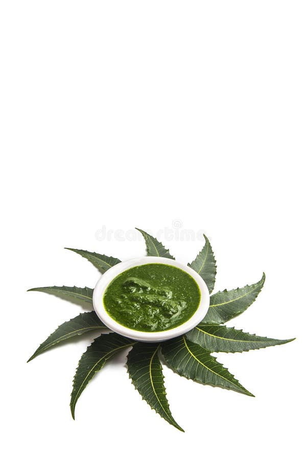 Medicinal Neem Leaves with Paste Stock Image - Image of fresh ...