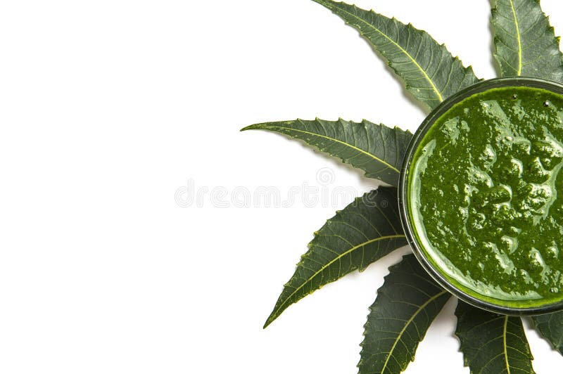 Medicinal Neem Leaves with Paste Stock Photo - Image of extract ...