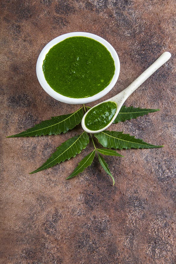 Medicinal Neem Leaves with Paste on Stone Background Stock Image ...