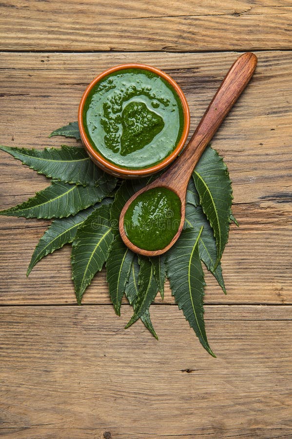 Medicinal Neem Leaves with Paste Stock Image - Image of agriculture ...