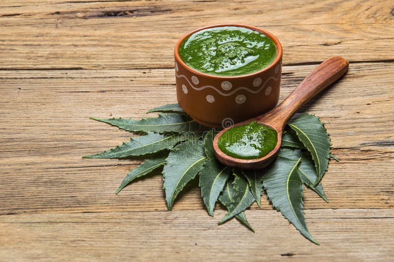 Medicinal Neem Leaves with Paste Stock Image - Image of extract, fresh ...