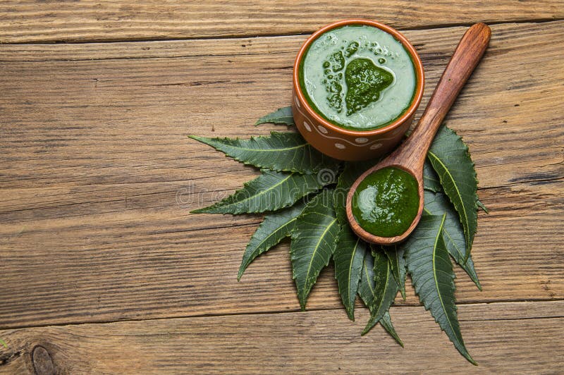 Medicinal Neem Leaves with Paste Stock Photo - Image of fresh ...