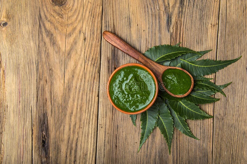 Medicinal Neem Leaves with Paste Stock Photo - Image of fresh, aristha ...