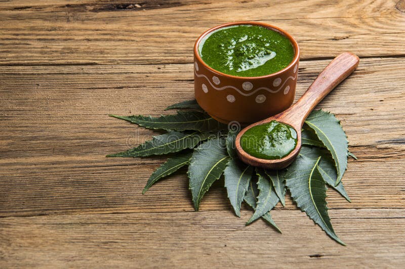Medicinal Neem Leaves with Paste Stock Photo - Image of fresh ...