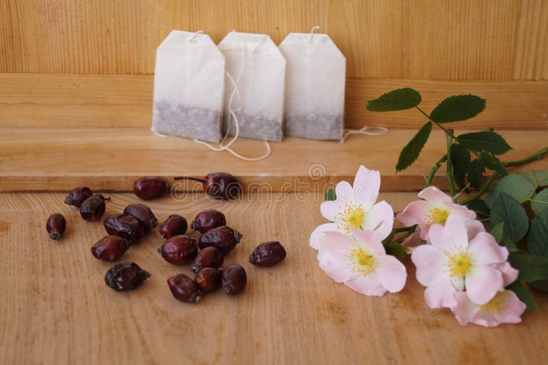 Medicinal Plants - Eglantine Stock Image - Image of leaves, golden ...