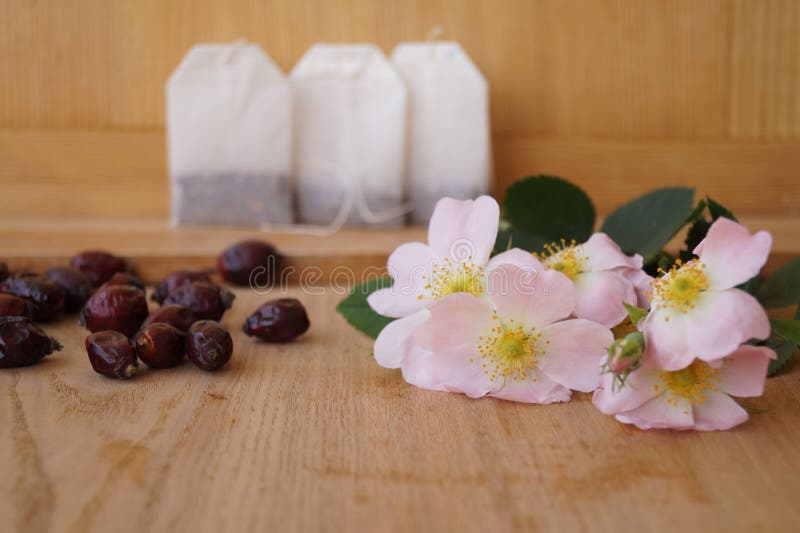 Medicinal Plants - Eglantine Stock Photo - Image of herbal, fruit: 69588570