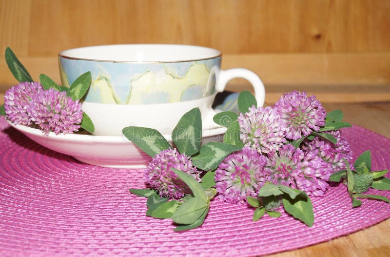 Medicinal Plants - Red Clover Stock Image - Image of infusion ...