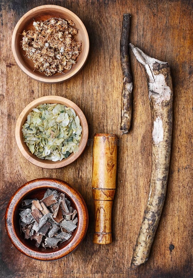 Medicinal plants and roots stock image. Image of health - 77605859