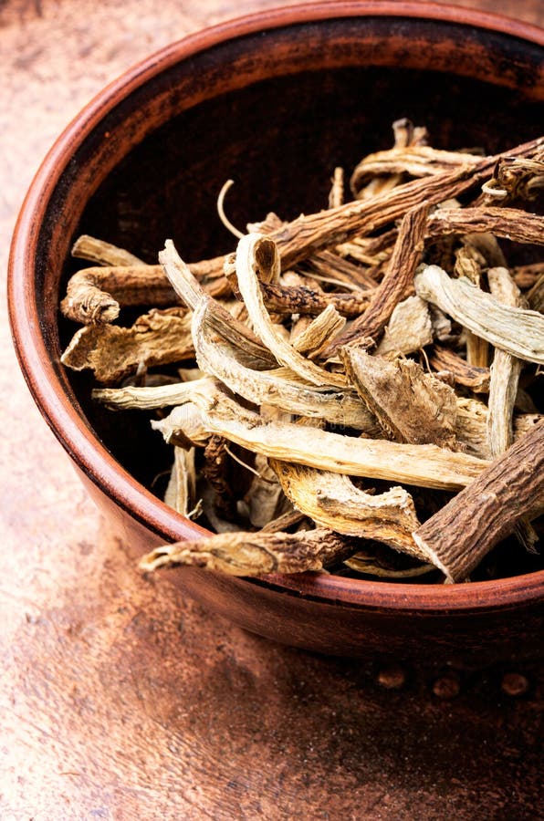 Medicinal root inula stock image. Image of homeopathic - 114608357