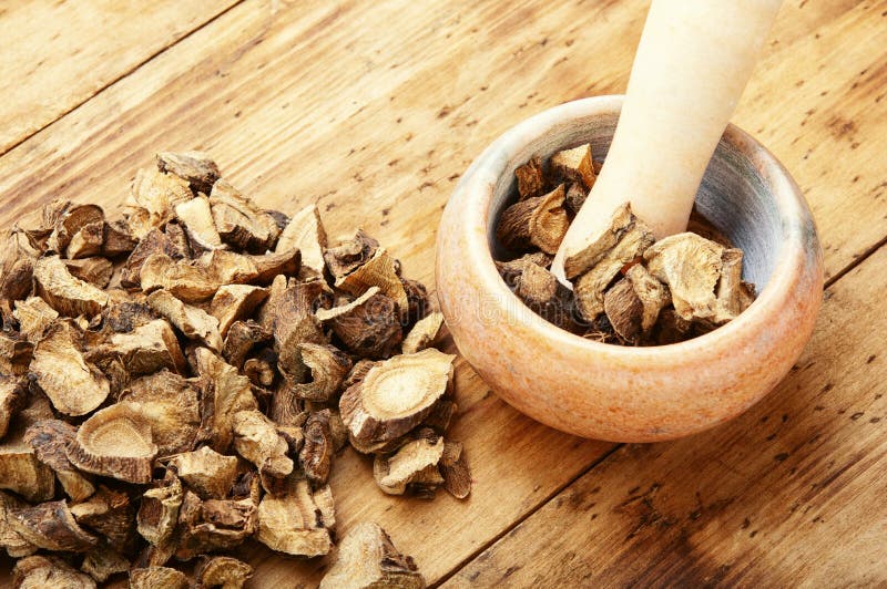 Inula medicinal root stock image. Image of drug, inula - 203191893