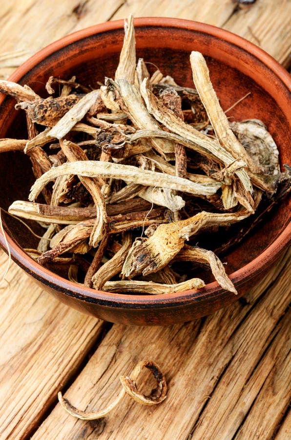 Medicinal root inula stock image. Image of preparation - 114843401