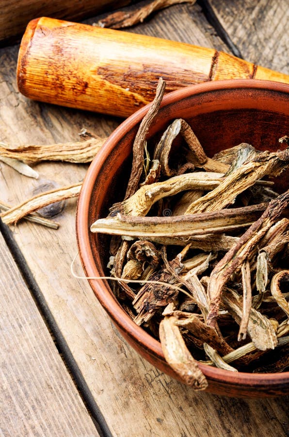 146 Inula Helenium Root Stock Photos - Free & Royalty-Free Stock Photos ...