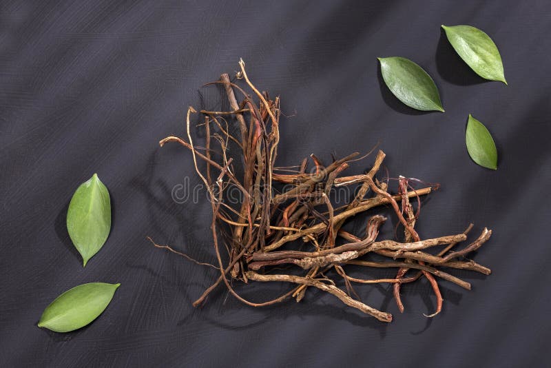 Medicinal Roots De Zarzaparrilla - Smilax Aspera Stock Photo - Image of ...