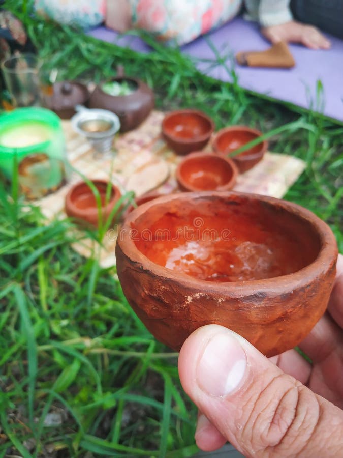 Medicinal Tea in Glass Cup with Herb in Bowl Stock Photo - Image of ...