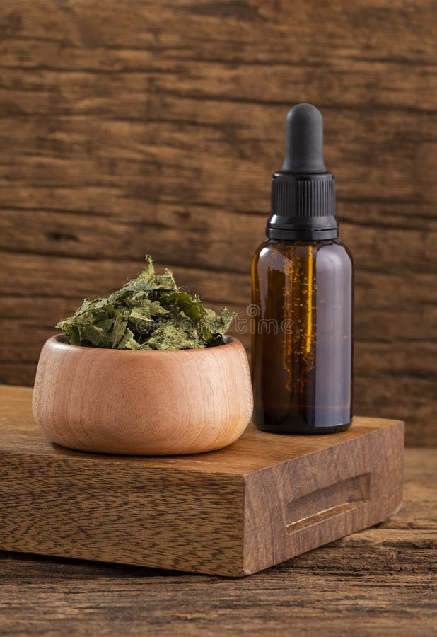 Organic Nettle Plant Extract - Urtica Medicinal Stock Image - Image of ...