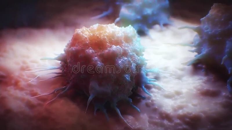 Fat Cells Under the Microscope Stock Image - Image of ready, illness ...