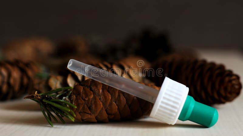 Medicine and Pine Cones, Plant Extract. the Scent of the Forest Stock ...