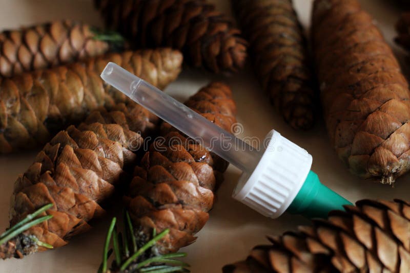 Medicine and Pine Cones, Plant Extract. the Scent of the Forest Stock ...