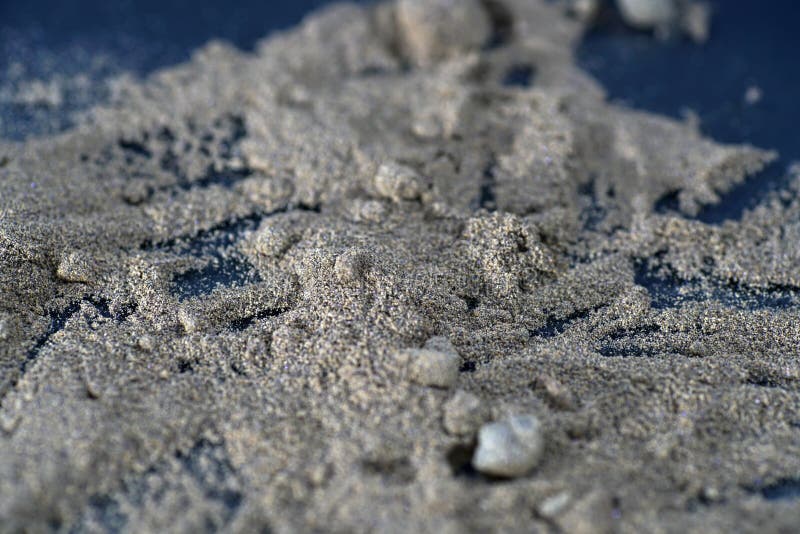 Medicine in Various Forms, As Tablets, Powder or Liquid Stock Photo ...