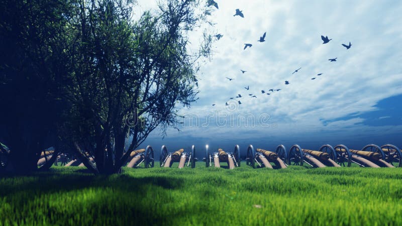 Medieval Cannon in a Field in the Middle of Green Grass at Sunrise ...