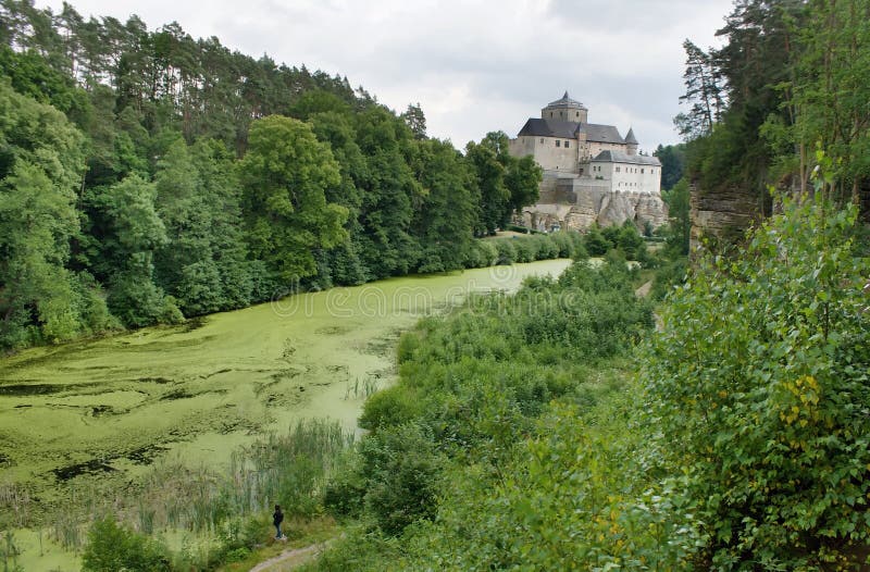 Medieval castle bone stock image. Image of huge, fairytale - 79687265