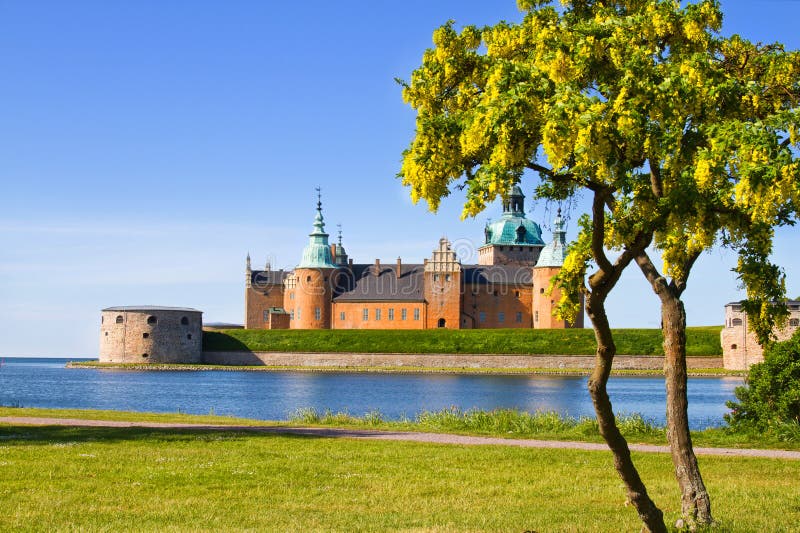 Medieval Castle in Swedish Color. Stock Image - Image of dandelion ...