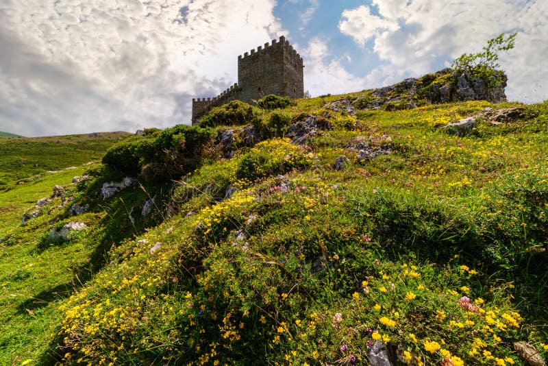 Medieval Castle on Top of the Hill with Multi-colored Flowers on the ...