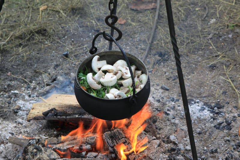 Outdoor cooking stock image. Image of tasty, dinner, cooking - 48999165