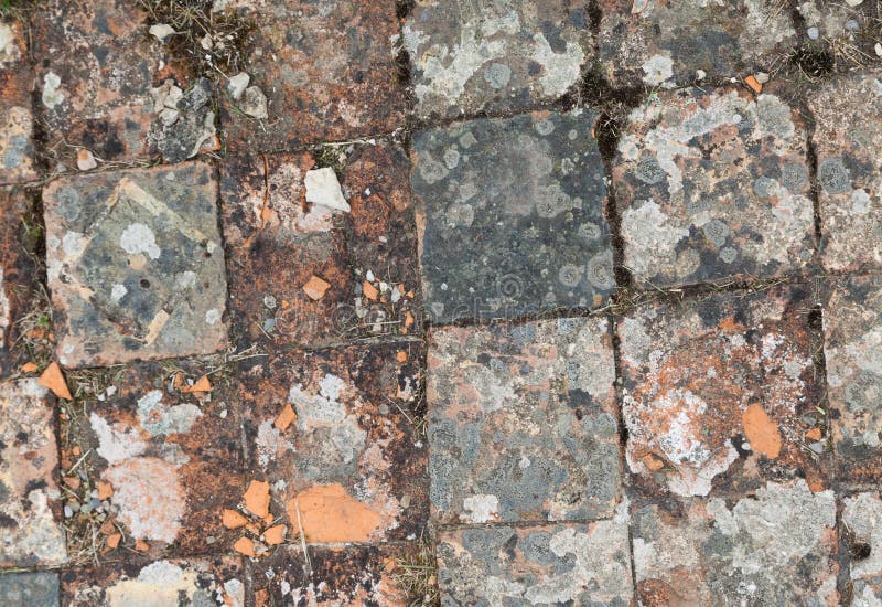 Medieval floor tile stock photo. Image of pavement, paving - 74321668