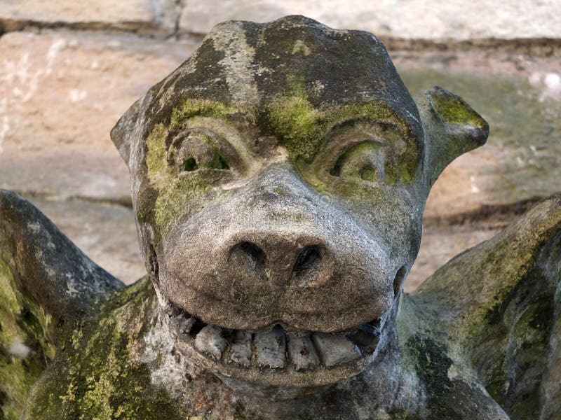 Medieval gargoyle stock photo. Image of religion, beast - 20480872
