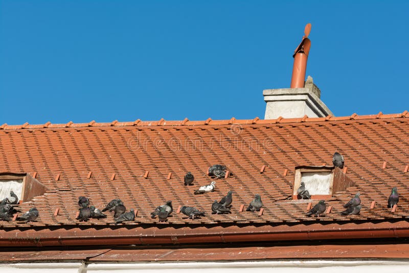 Medieval House Roof stock image. Image of town, detail - 37922751