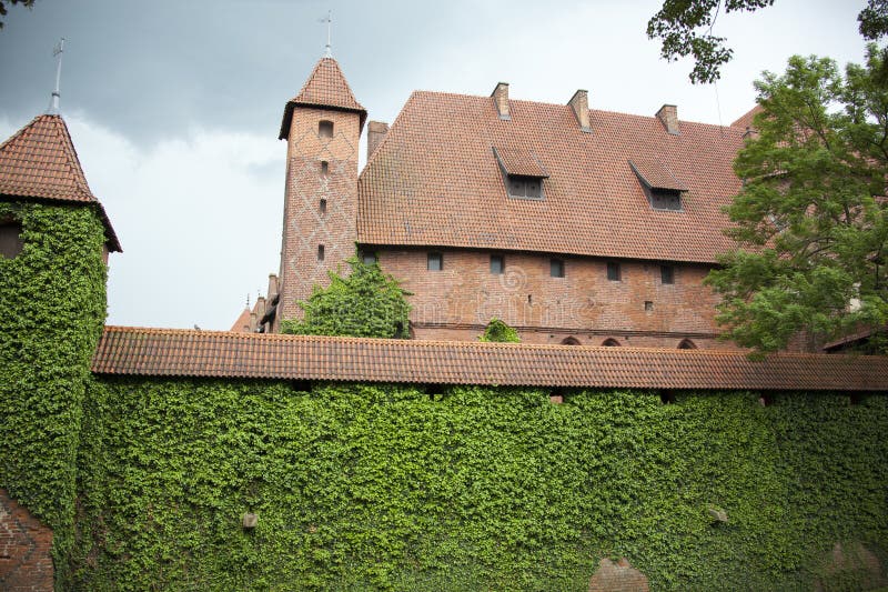 Medieval Malbork Castle Climbing Plants Stock Photos - Free & Royalty ...